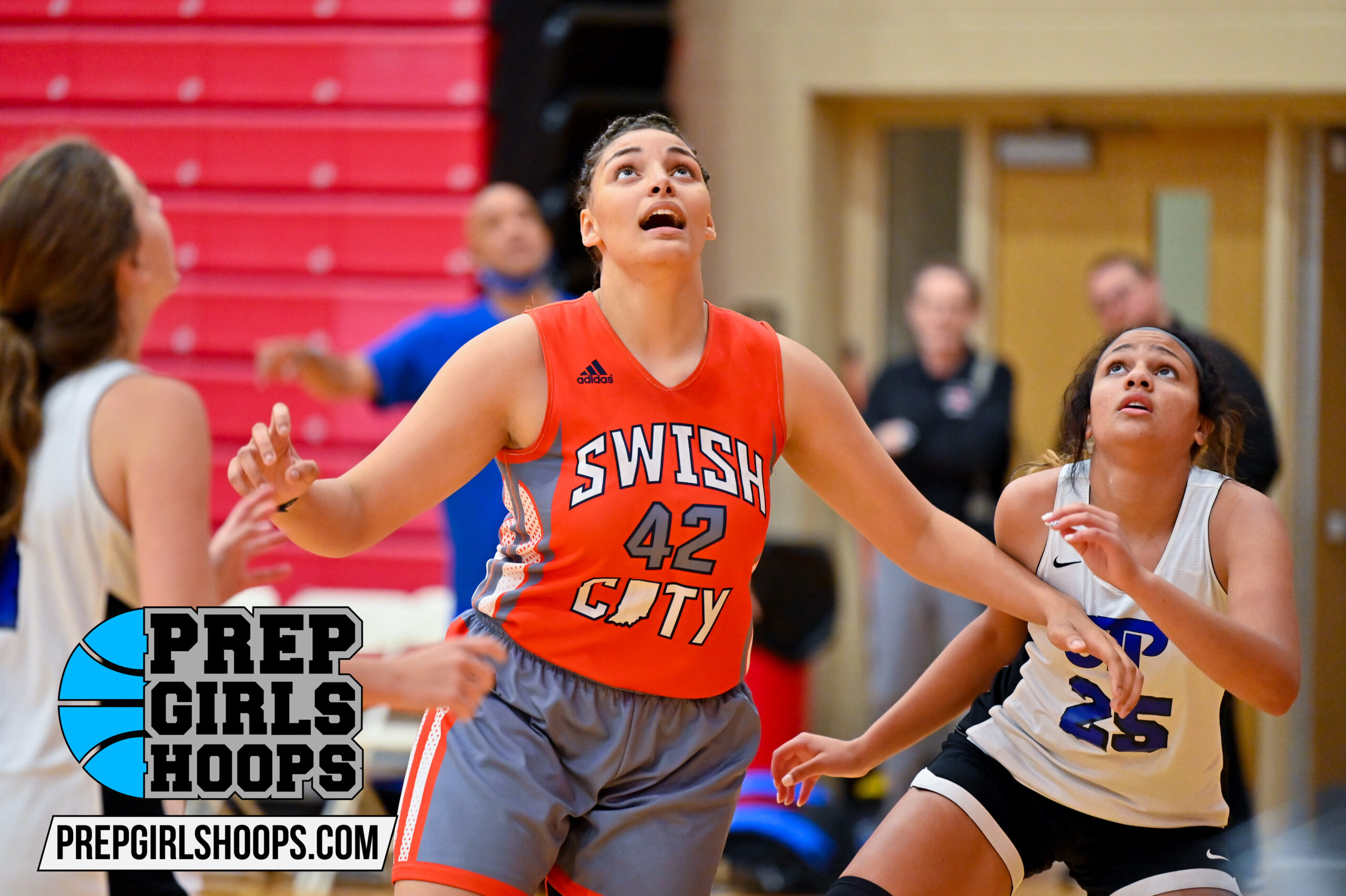 Season Preview: Class 4A, Sectional #16 | Prep Girls Hoops