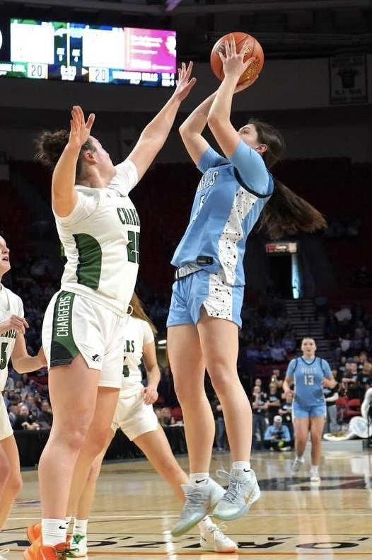 Team Herro AAU Basketball Program Profile | Prep Girls Hoops